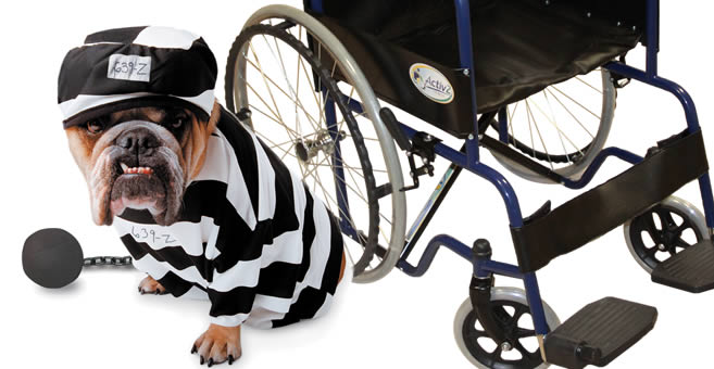 Huellas de Esperanza, perros entrenados por presos para discapacitados ...