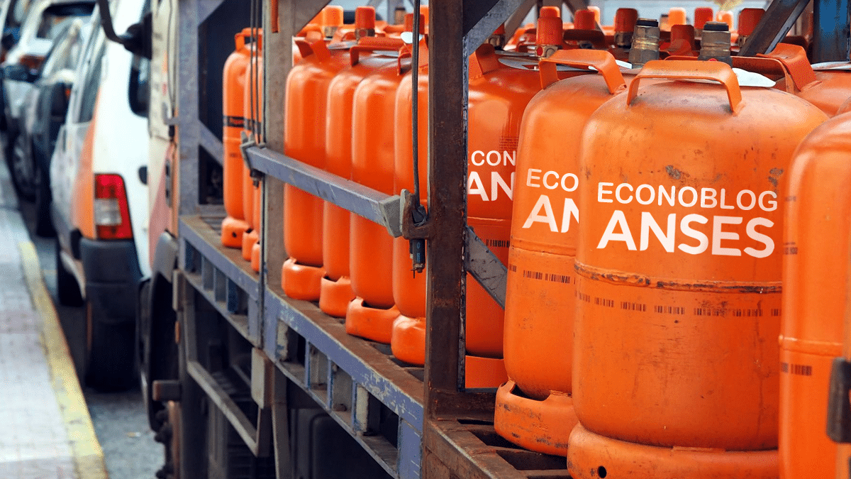 Anses indica pasos para cobrar el Plan Hogar 2023