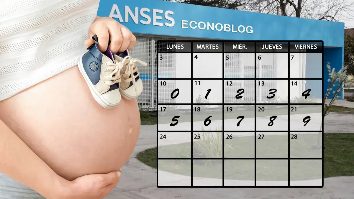 Fechas de cobro de asignación por embarazo en febrero de 2025