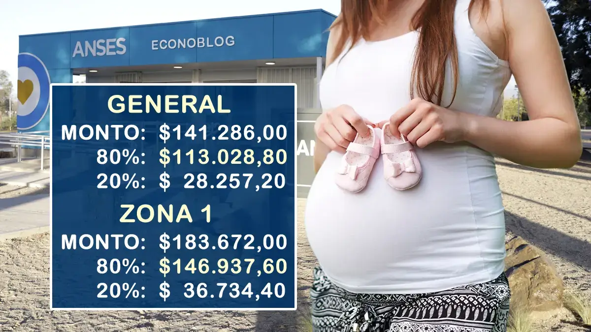 Montos de asignación por embarazo por provincia en mayo de 2026